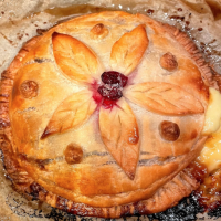 Contact Us – Bake Off Bracket